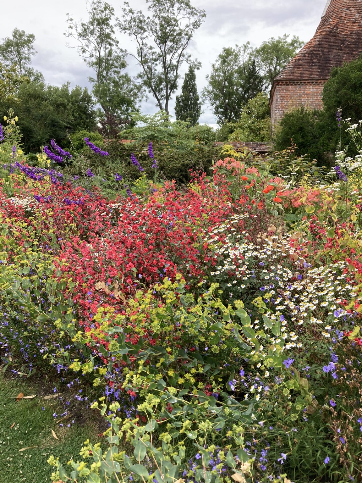 Witheridge and District Gardening Club – Welcome to Witheridge (Online)